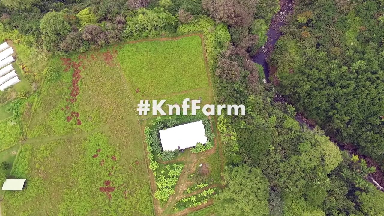 #KnfFarm Overview - YouTube