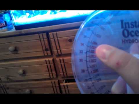 How to properly measure salt levels in your tank - YouTube