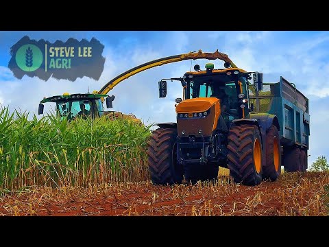 MAIZE YIELDS STARTING TO IMPROVE?