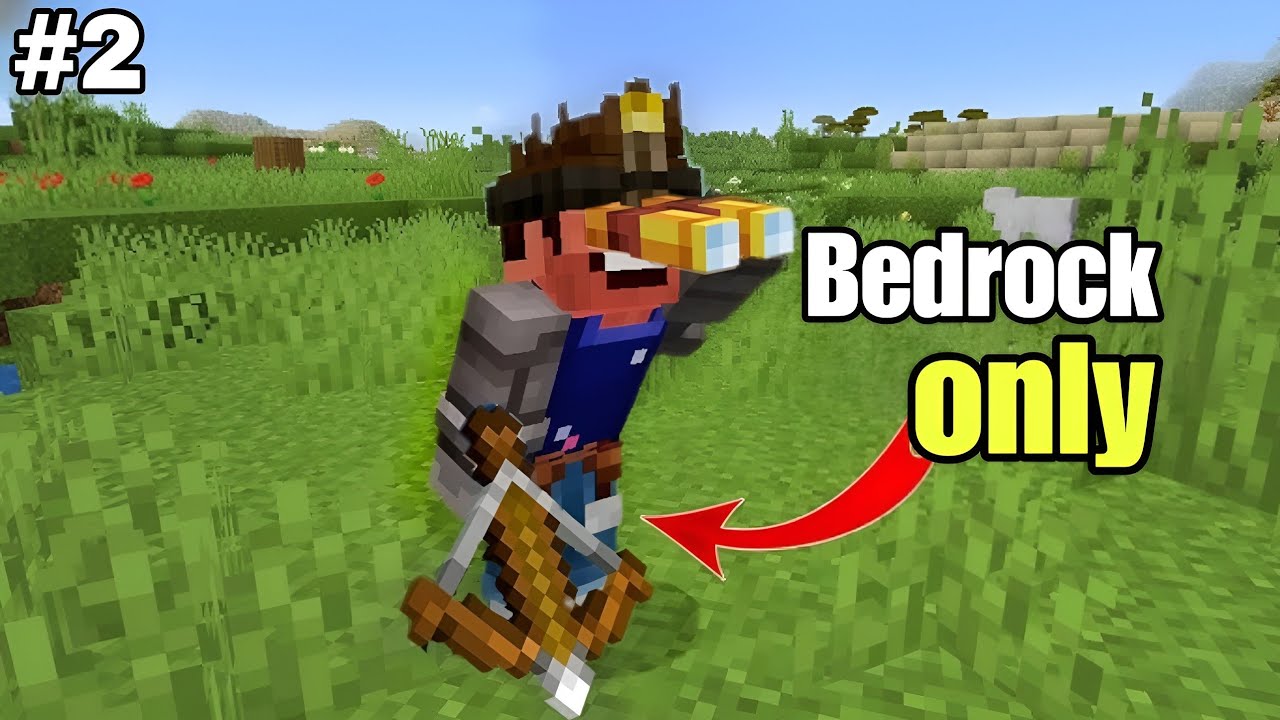 10 Minecraft Java vs Bedrock Edition Things!(Hindi) - YouTube