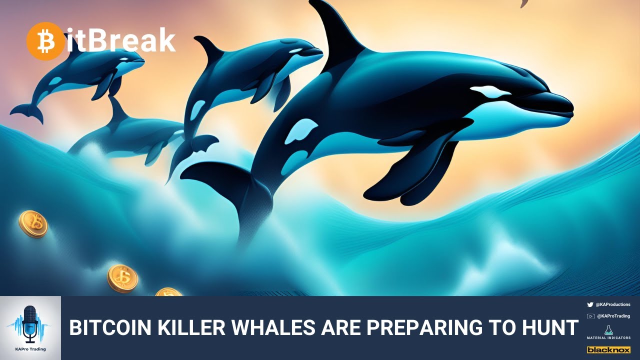 BITCOIN KILLER WHALES ARE PREPARING TO HUNT - YouTube