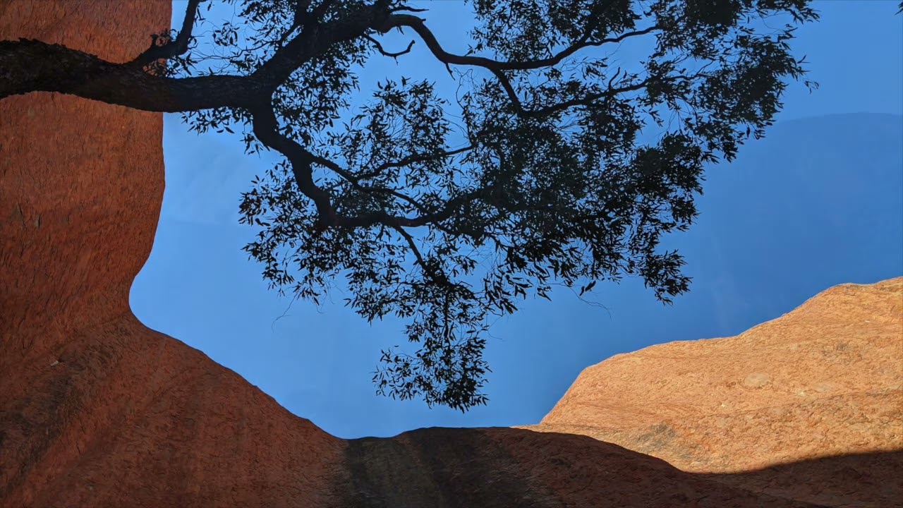 Open awareness meditation, Aug 6, 2022 on an online day of meditation ...