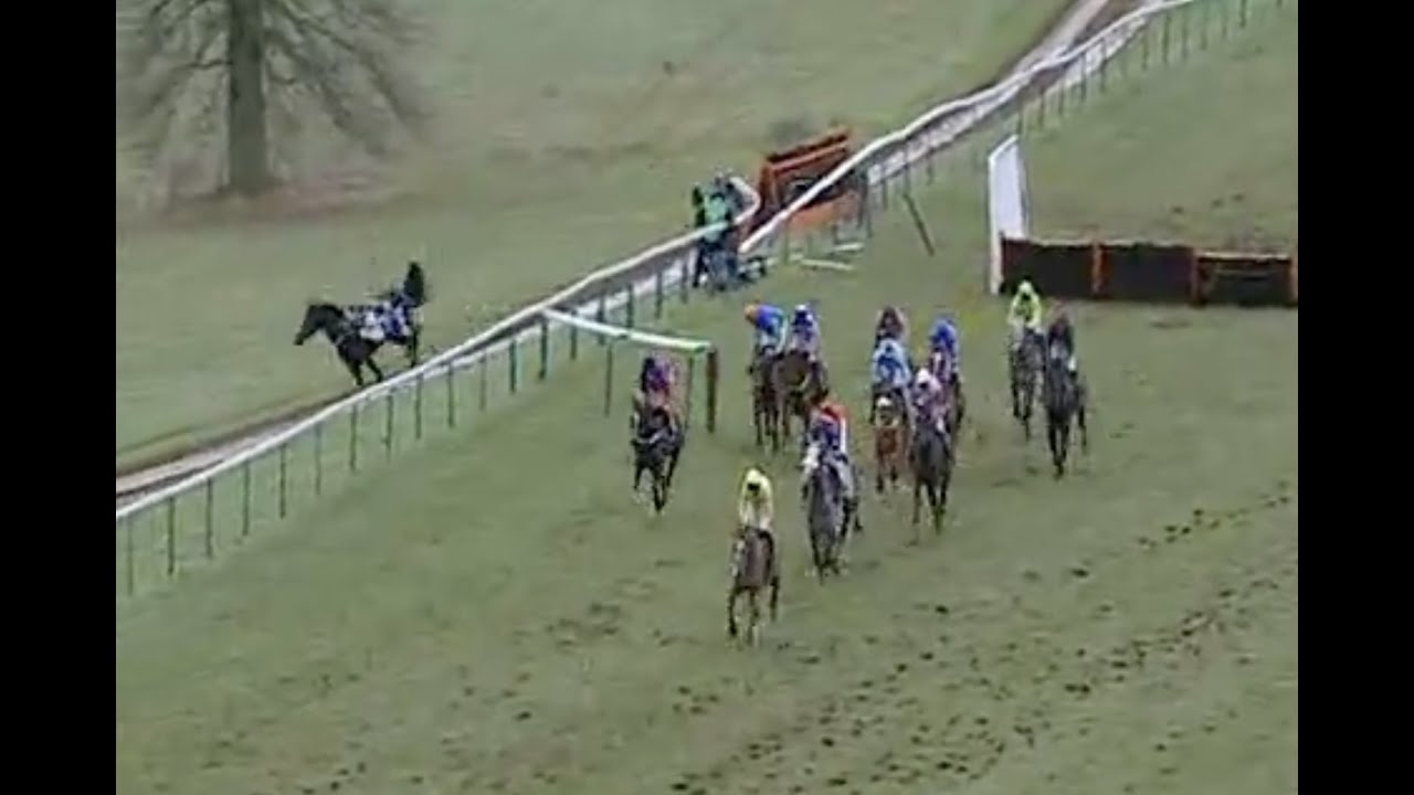 Horse Racing Death 240 - Ellie Wiggins at Towcester Racecourse - YouTube