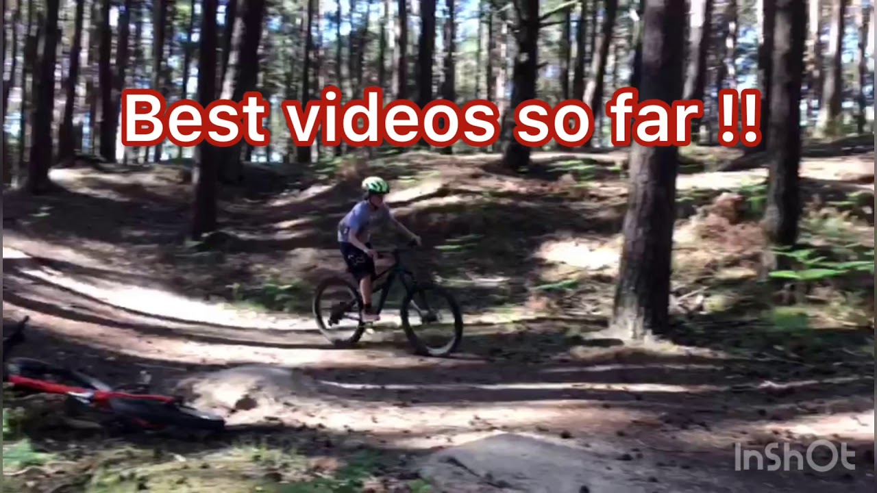 Lockdown MTB Trail - Wareham Forest - YouTube