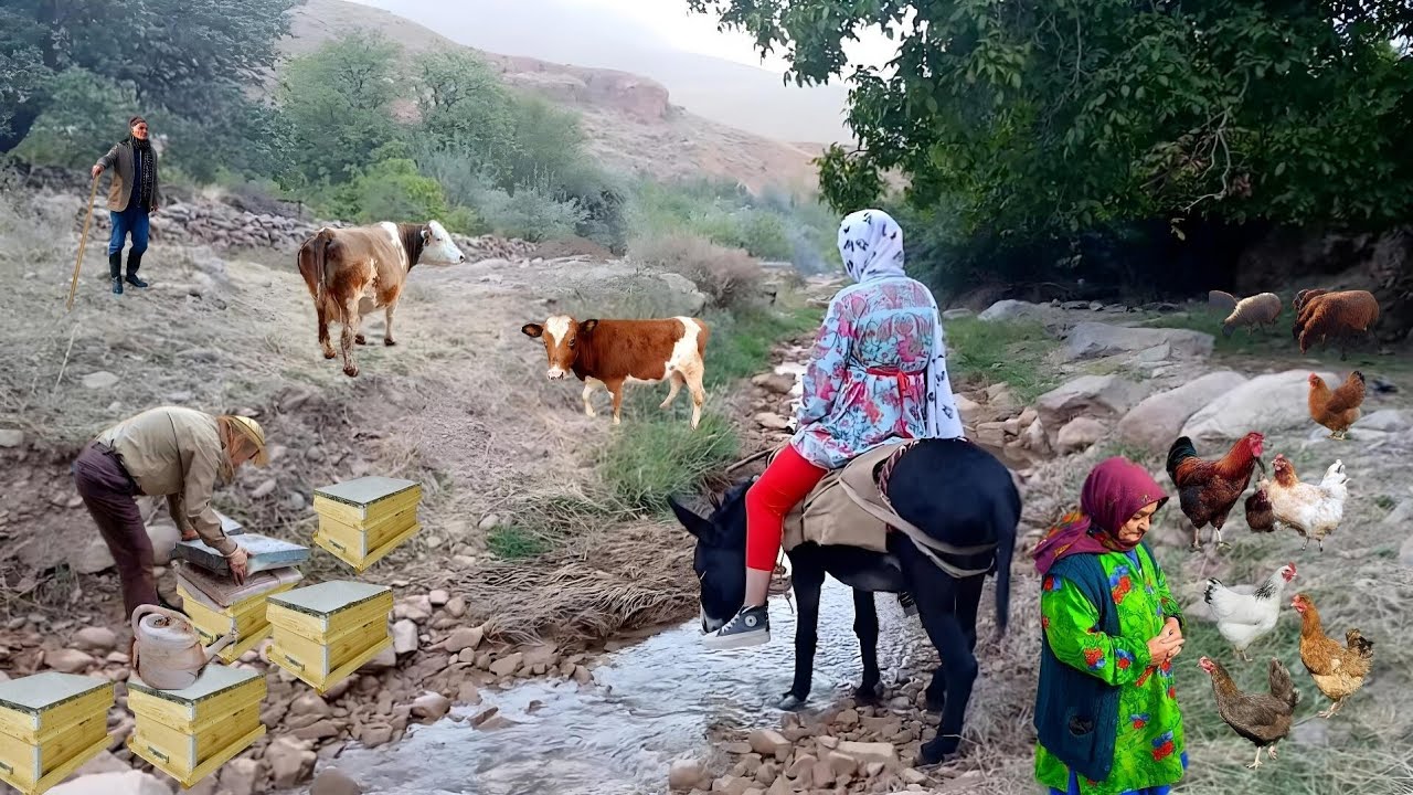 Riding My Donkey Through Ancient Castle Ruins – It Feels Like Time ...