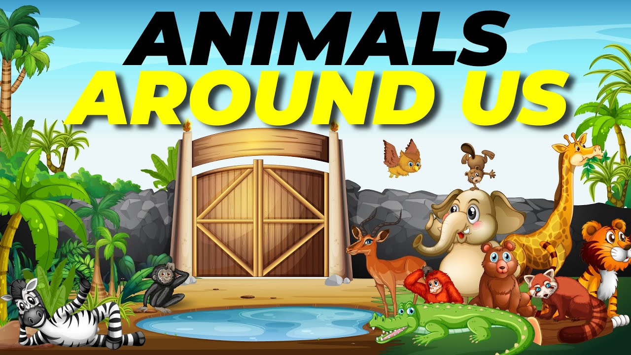 🦓🦒Animal Around Us🐘🐒 | Class 2 English | Land Animals | Exam Winner ...