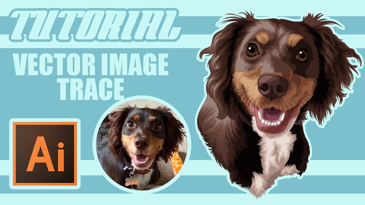 Tutorial Realistic Vector Pet - YouTube