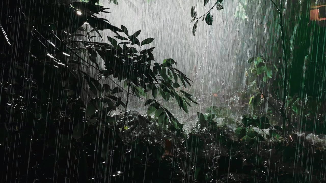 🌴🌧️💤 4K Durmiendo bajo una fuerte lluvia en una noche tropical tranquila {Dolby Atmos} Dormir ...