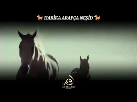 Harika Arapça Neşid Serisi (5) 🐎