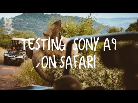 Craig Howes Tests Sony A9 with Wildlife Safari - YouTube
