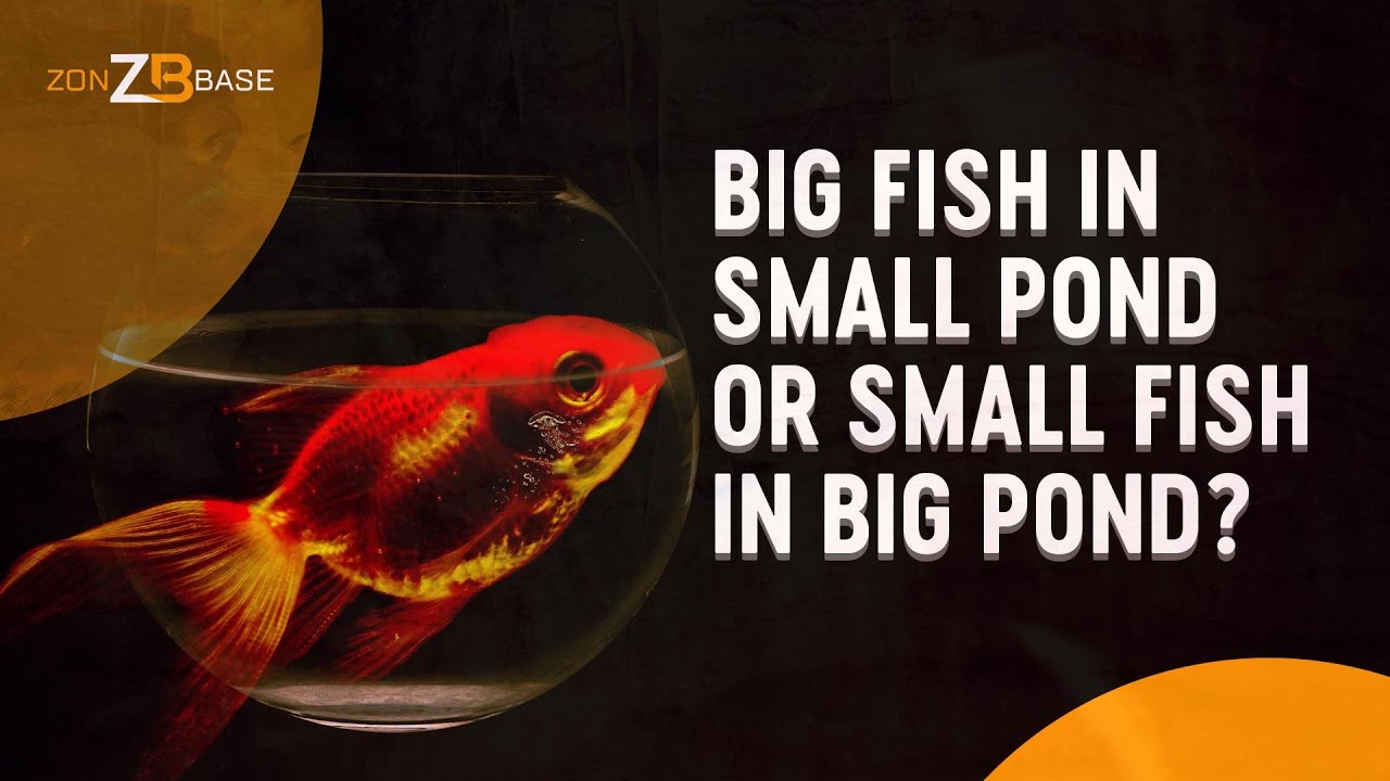 Big Fish in Small Pond or Small Fish in Big Pond - YouTube
