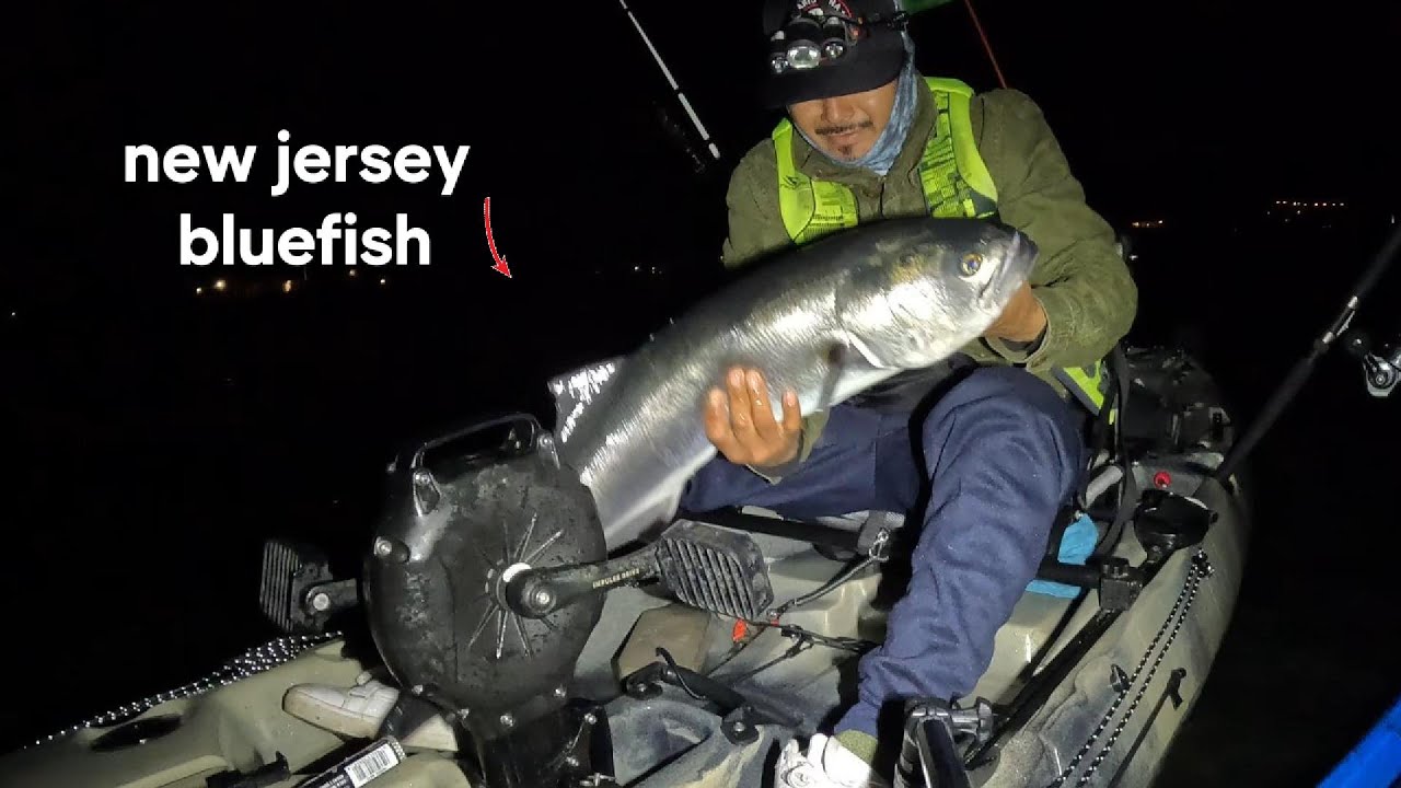 como pescar bluefish en primavera 2024 - YouTube