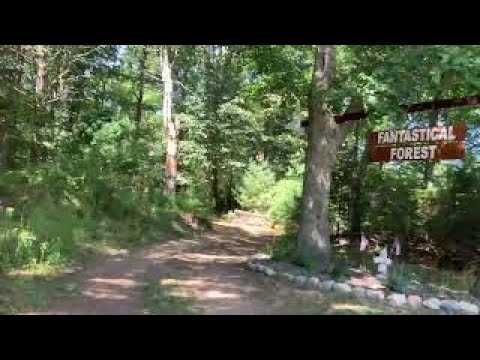 Fantastical Forest Entrance to Camp Beaver Point - YouTube