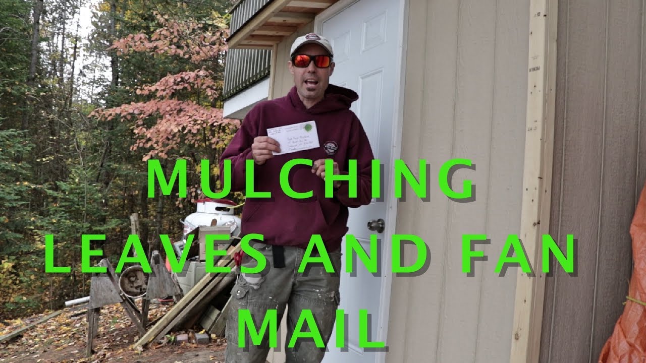 Walker Mower: Mulching leaves and Fan Mail - YouTube