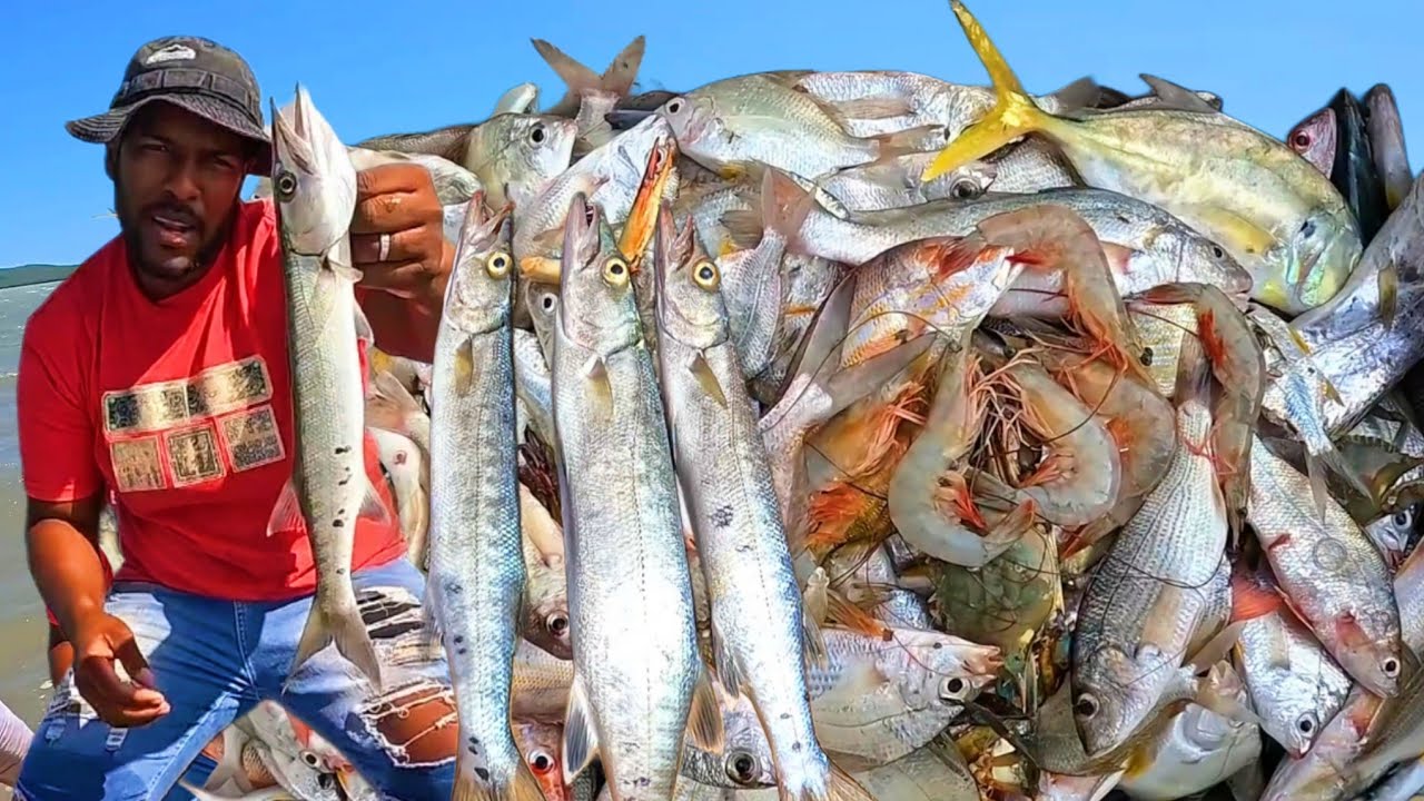 8 HRS NET FISHING IN HARSH CONDITIONS‼️ THE REASON WHY FISH EXPENSIVE‼️ ...