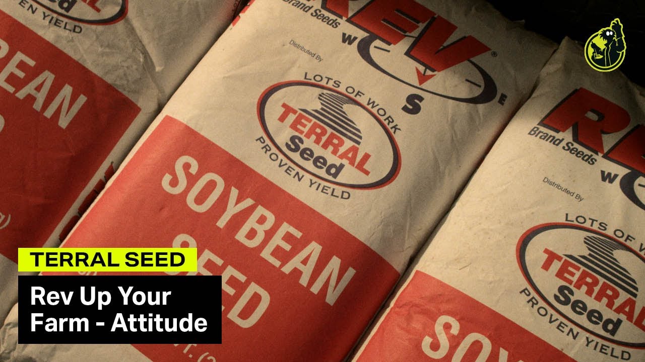 Grain Seed Supplier Commercial - “Seed with Attitude” | Terral Seed ...