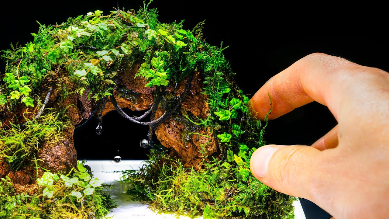 Living Self-Watering Jungle Arc (EASY Moss Drip Planter) - YouTube