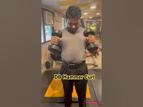 DB Hammer Curl (3*15)#hammercurls #hammercurl #biceps #bicepsworkout #gym #motivation - YouTube