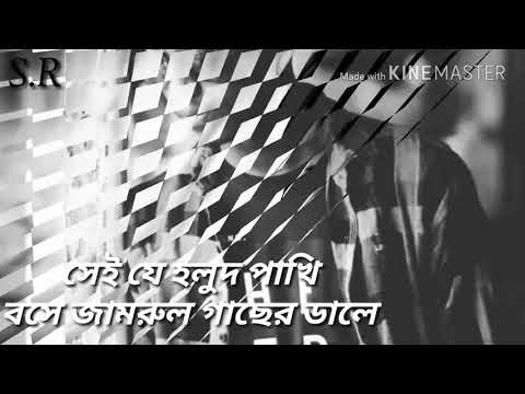 Holud pakhi / whats app video status