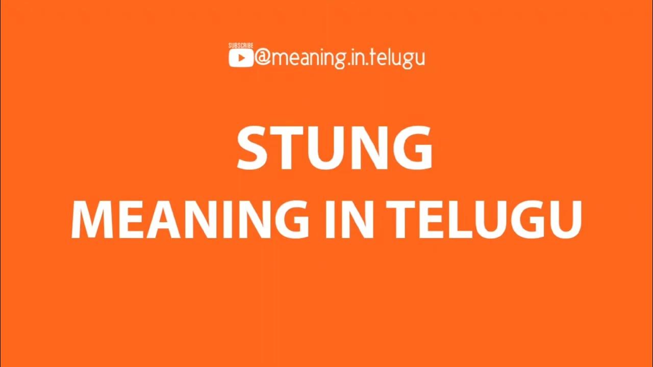 Stung Meaning In Telugu Stung meaningintelugu telugumeaning meaning stung-meaning-in-telugu-stung-meaningintelugu-telugumeaning-meaning
