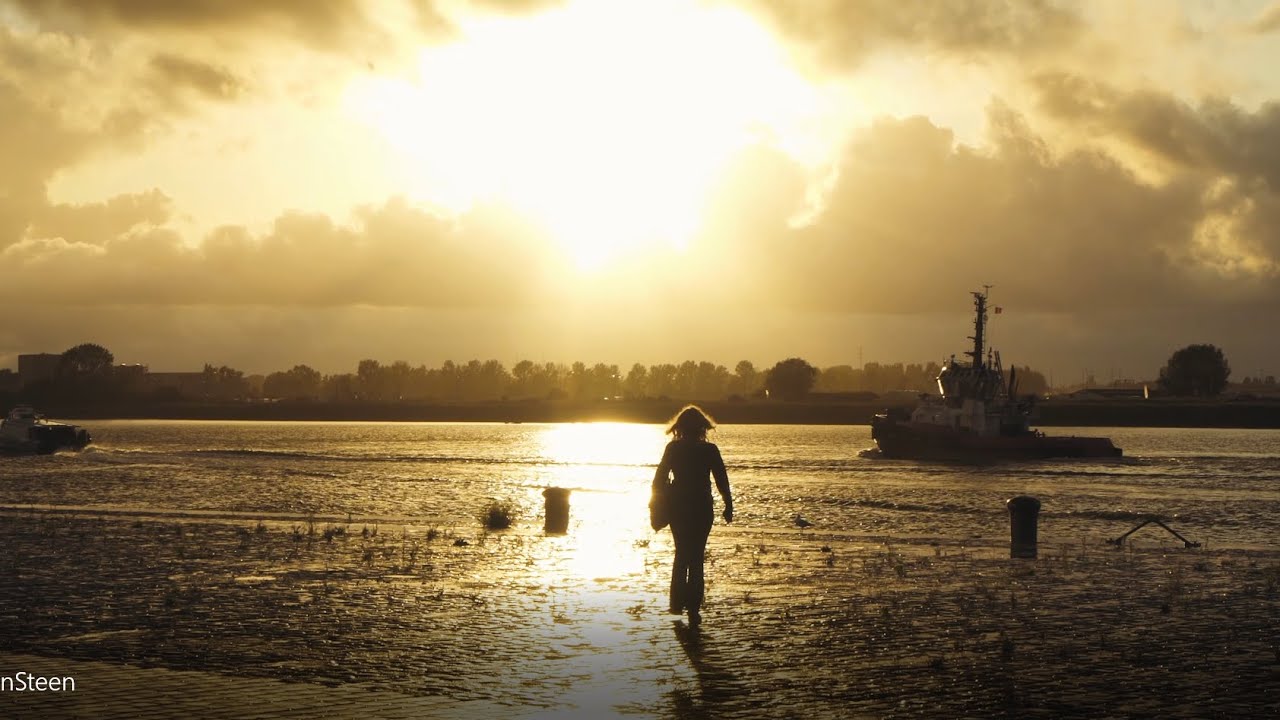 Hart Van Steen - Kees Meerman - YouTube