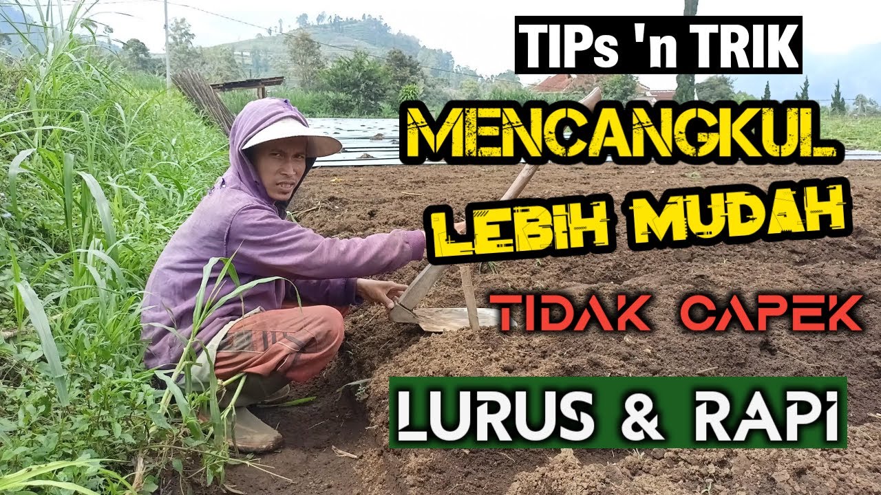 Cara mencangkul yang baik dan benar - YouTube