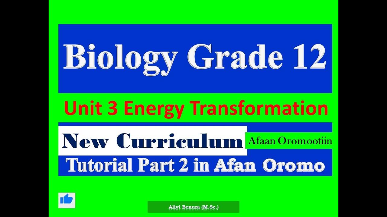 New Curriculum Biology Grade 12 Unit 3 Energy Transformation Tutorial Part 2 in Afan Oromo - YouTube