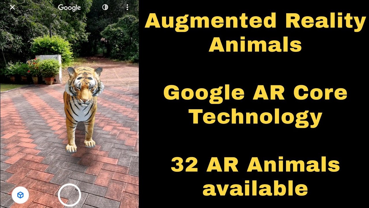Animal AR by google | 32 different animals in Realtime with sound ...