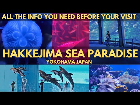 The Amazing Yokohama Hakkejima Sea Paradise Japan 🎌 | White dolphin ...
