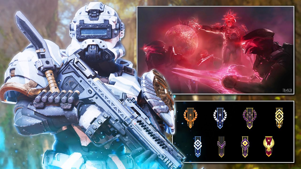 343 FINALLY Talked About Cross Core - YouTube