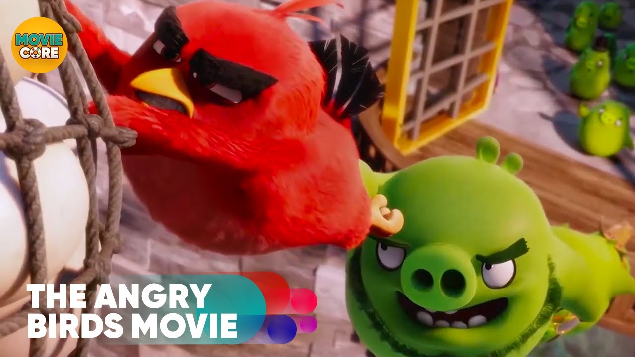 Red And The Gang Save The Eggs | The Angry Birds Movie | MovieCore ...