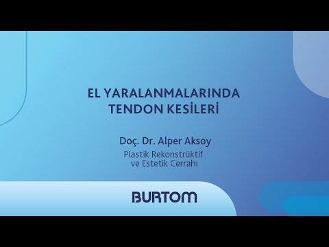 Plastik Rekonstrüktif ve Estetik Cerrahı Doç. Dr. Alper Aksoy - El Yaralanmalarında Tendon Kesileri