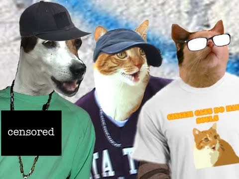 Rapping Dog ft. The Singing Cats - YouTube