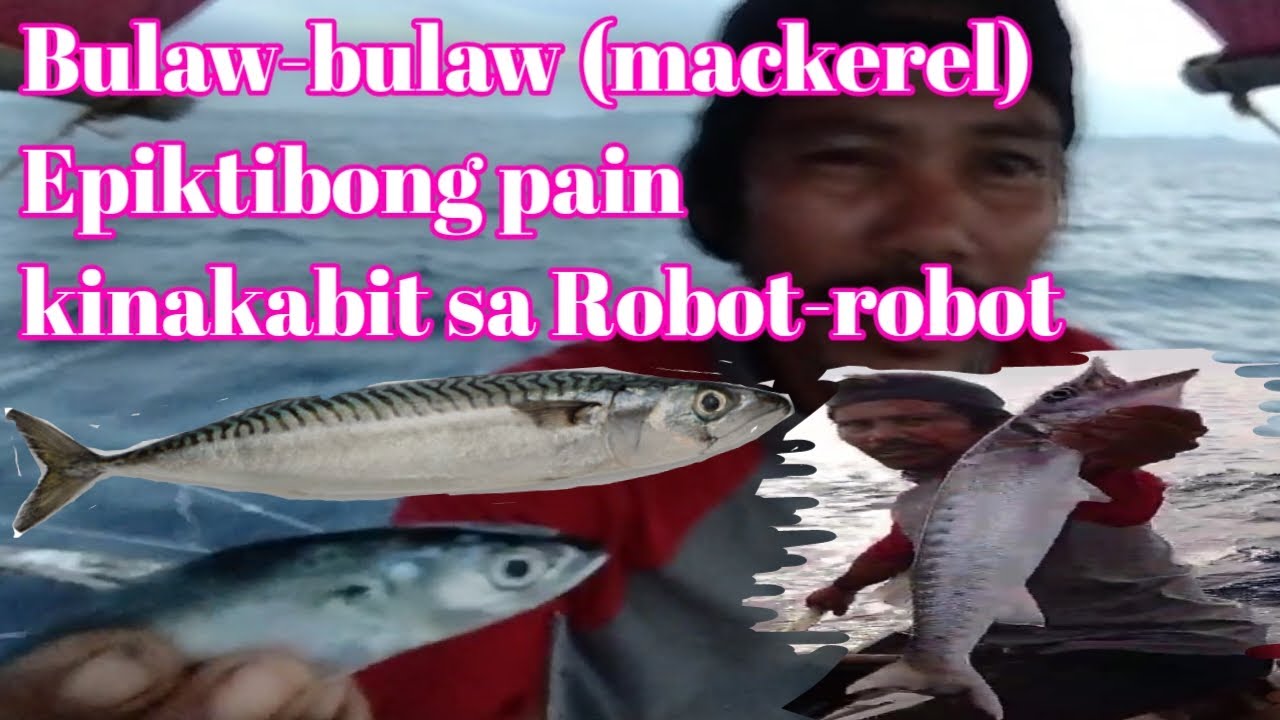 "Bulaw-bulaw"(mackerel) Epiktibong pain pangkabit sa Robot-robot ...