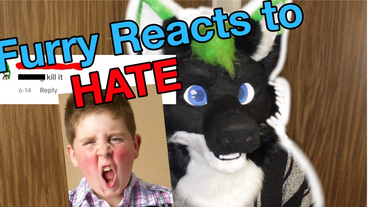 Furry reacts to hate comments! - YouTube