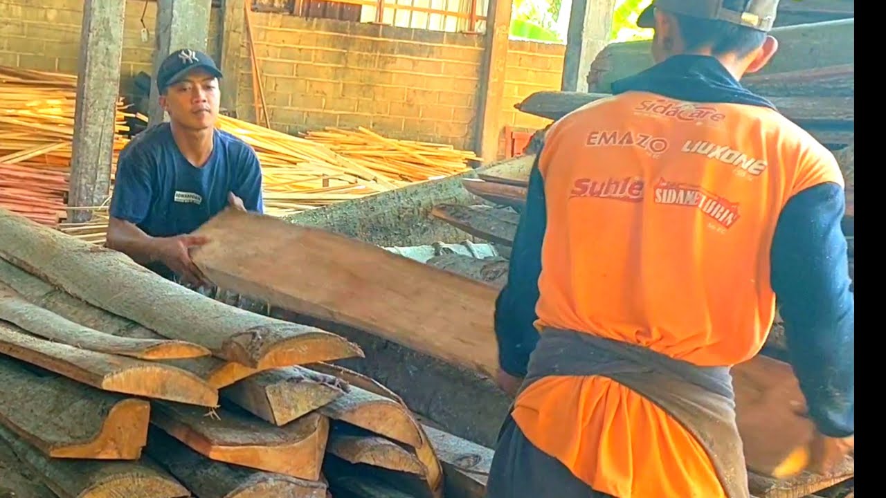 SPECTACULAR..!! Proses Penggergajian Sebitan Kayu Randu Olahan Papan ...