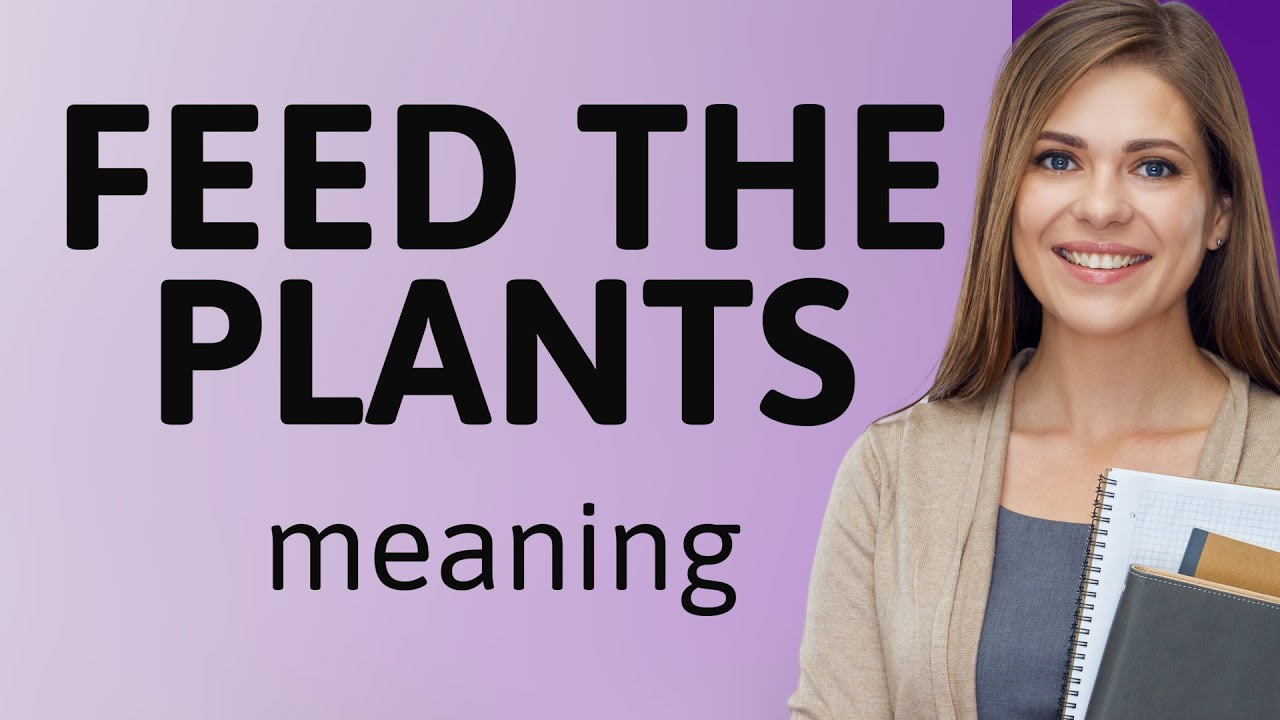 Feeding the Plants: A Simple Guide - YouTube