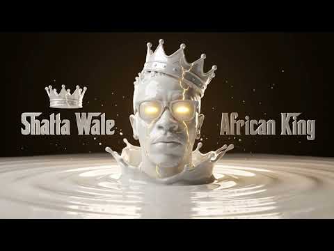 SHATTA WALE - RUN THIS (OFFICIAL AUDIO)
