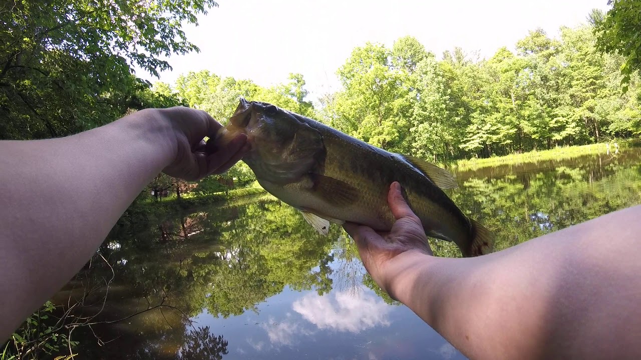 FISHING IN THE BACKWOODS!!! - YouTube