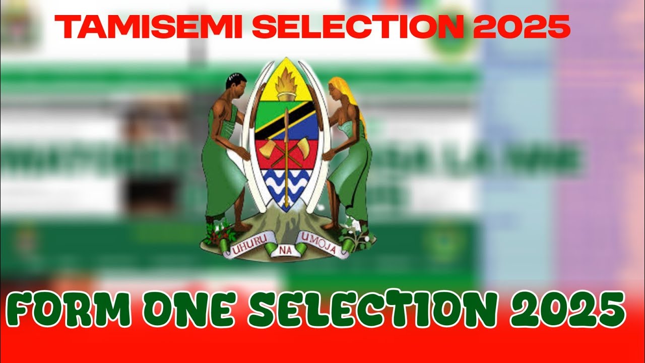 UCHAGUZI WA KIDATO CHA KWANZA 2025, FORM ONE SELECTION 2025, SHULE ...