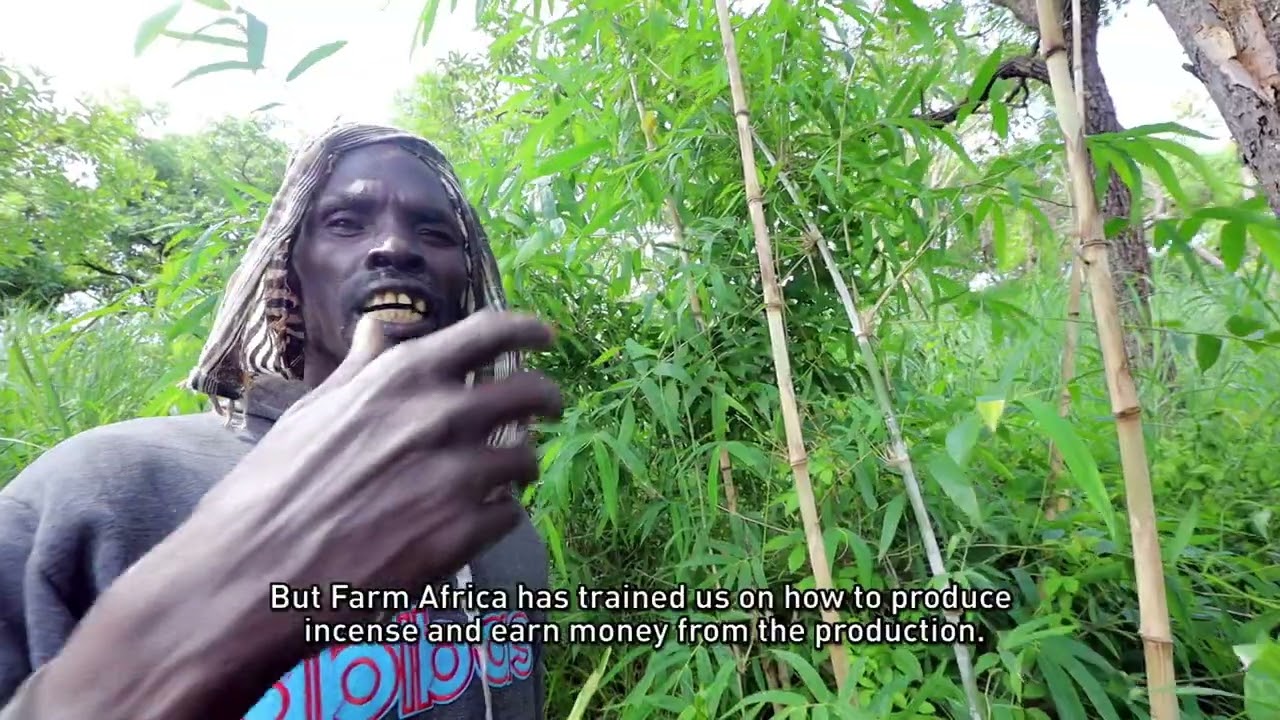 Man Eating Tree In Africa