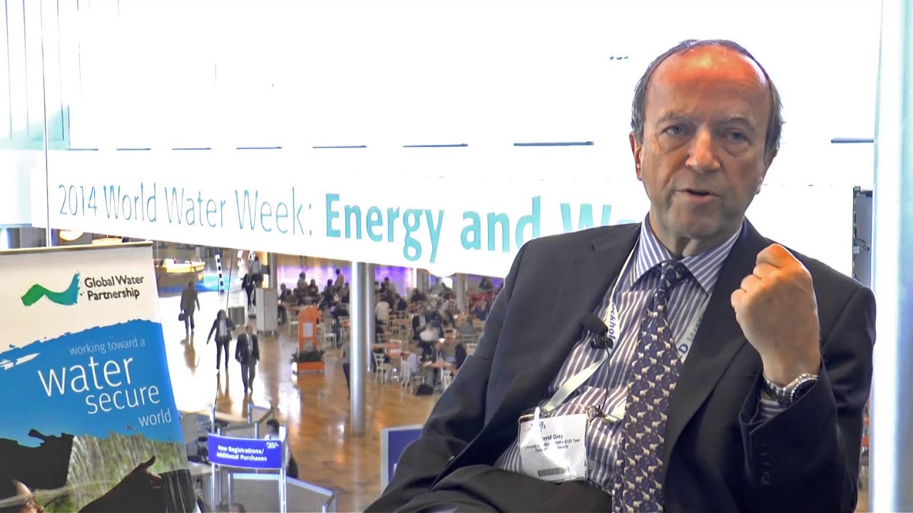 Professor David Grey speaks about the GWP/OECD Global Dialogue - YouTube