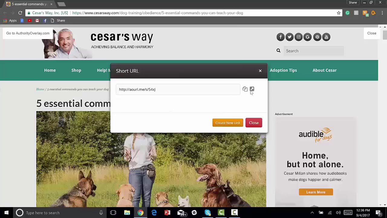 Authority Overlay COUPON Discount Code ⋆• 16% Off Promo Deal! - YouTube