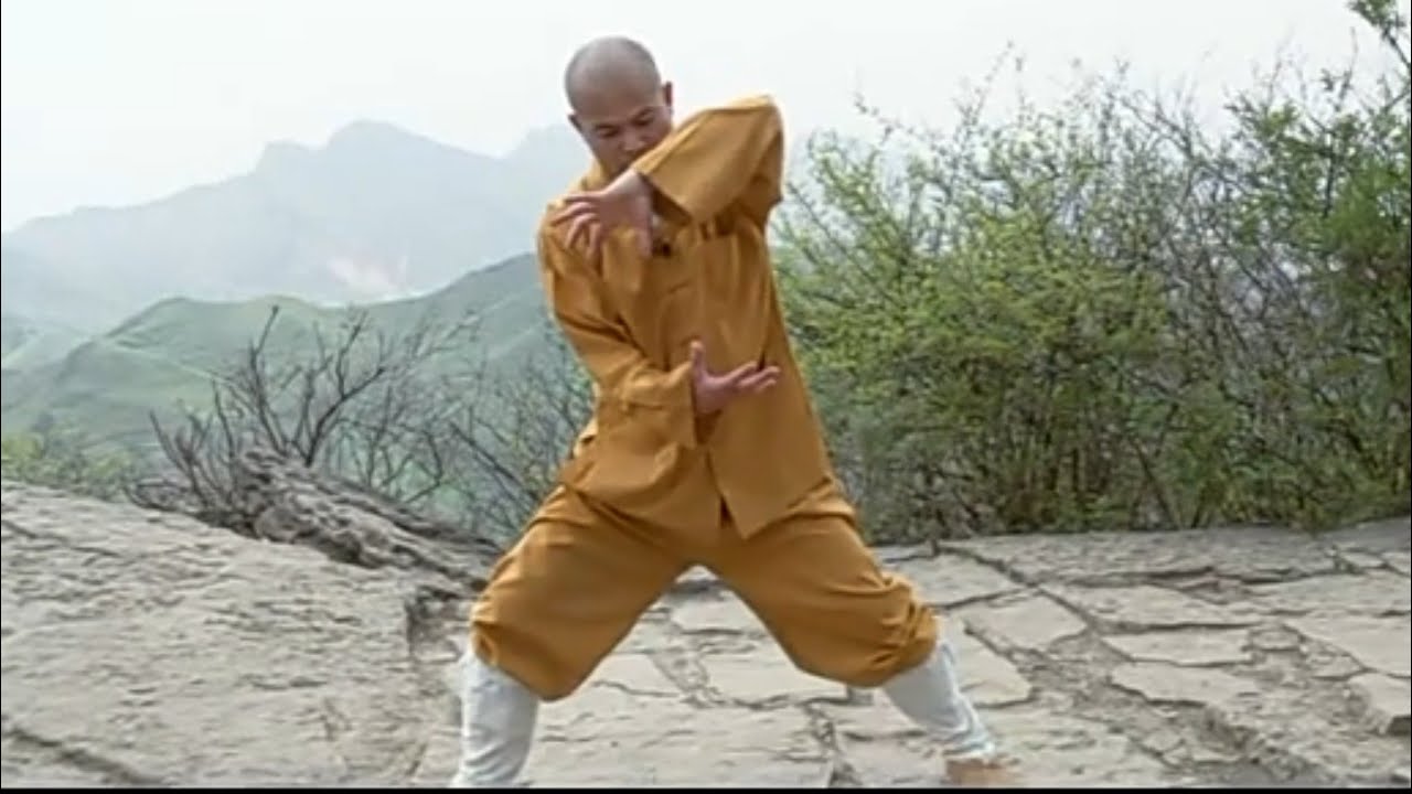 Shaolin Kung Fu Combat Styles: 14. sunny form (昭阳拳: zhao yang quan ...