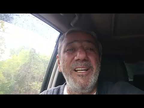 ZƏRGƏRAN , BƏDO BULAĞI , İSMAYILLIIDA !!!!!