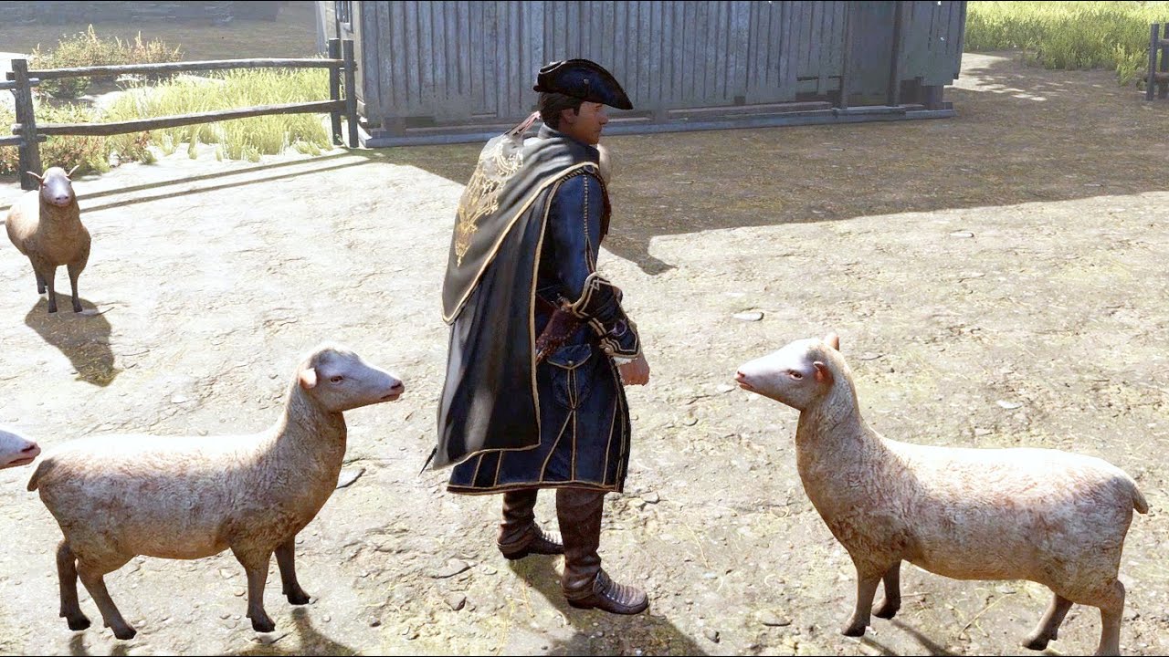 Assassin's Creed 3 Remastered Relaxing Peaceful Exploration & Petting ...