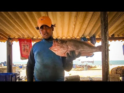 Fish cutting: Mastering the Art- Learn the Best Techniques from the ...