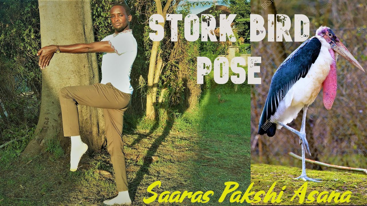 26. [Workplace] Yoga With Goga: Stork Bird Pose | Saaras Pakshi Asana ...