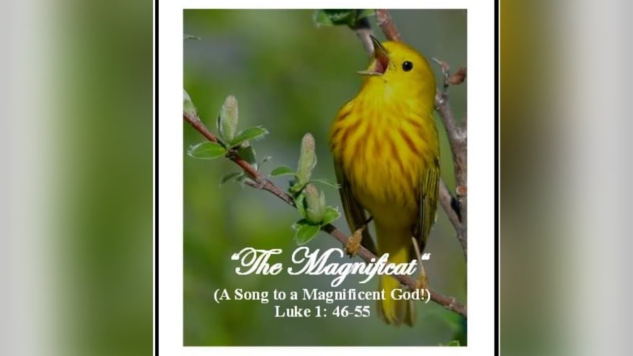 THE MAGNIFICAT (A Song to a Magnificent God) ||Luke 1:46-55 - YouTube