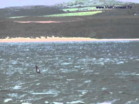 Windsurfers and Kitesurfers Gwithian Cornwall - YouTube